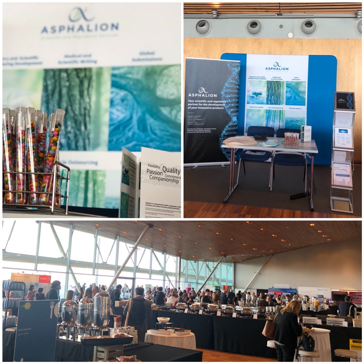 Asphalion in the 27th ESGCT Annual Congress