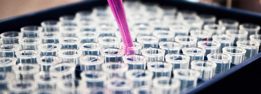 Preclinical development stage Service