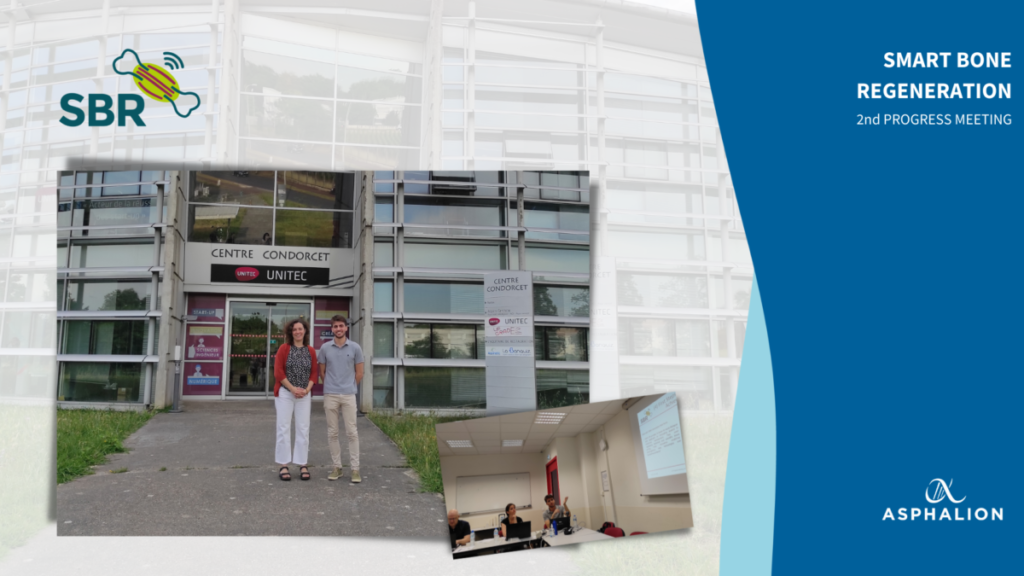 New | SMART BONE REGENERATION PROJECT | 2nd PROGRESS MEETING
