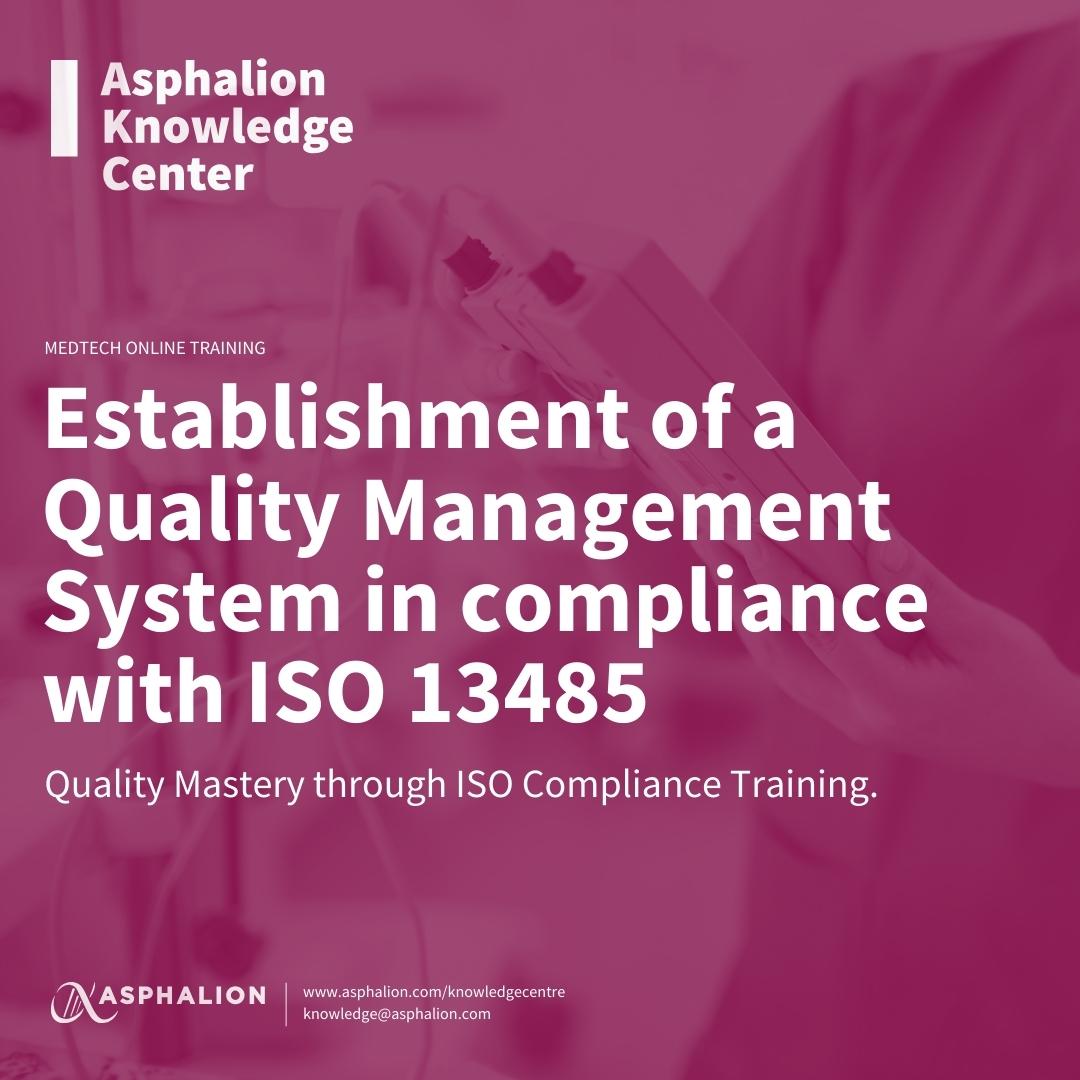 Establishment of a Quality Management System in compliance with ISO 13485