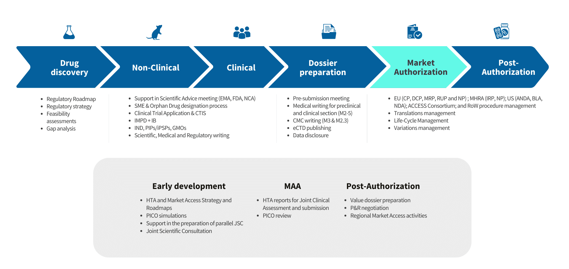 Health Technology Assessment Regulation (HTA) Service