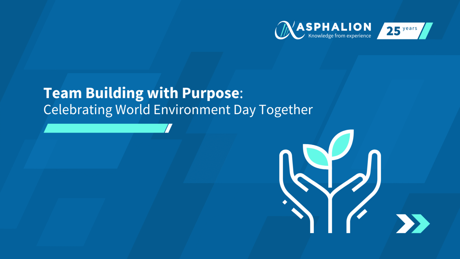 New | COMMITMENT | Celebrating World Environment Day and Teamwork at Asphalion